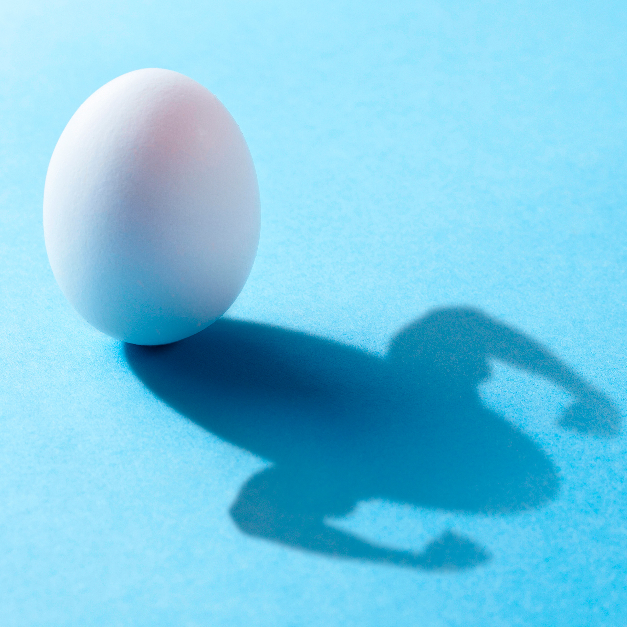 Heems | 10 fun facts about testicles